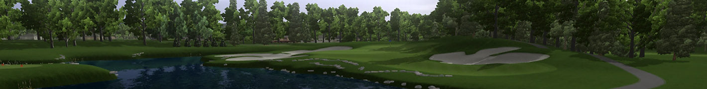 Golf Simulator Software for P3ProSwing – Par2Pro